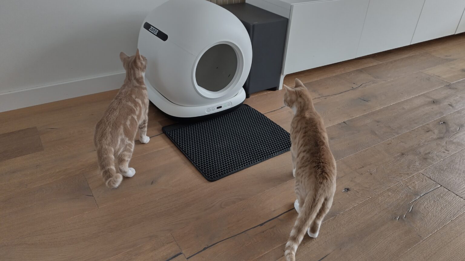 Review: Zedar K1200 automatische Kattenbak - GadgetGear.nl